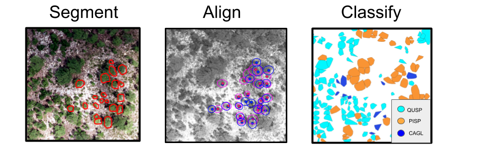 Idtrees Integrating Data Science With Trees And Remote Sensing