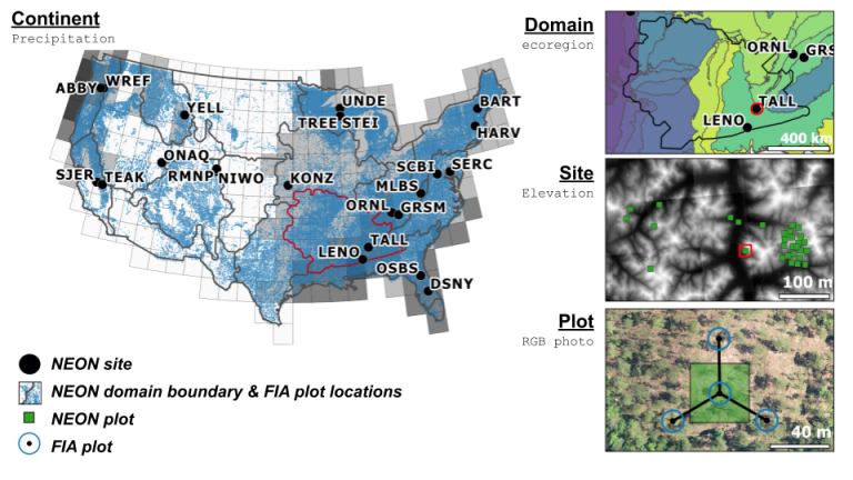 IDTReeS – Integrating Data science with Trees and Remote Sensing