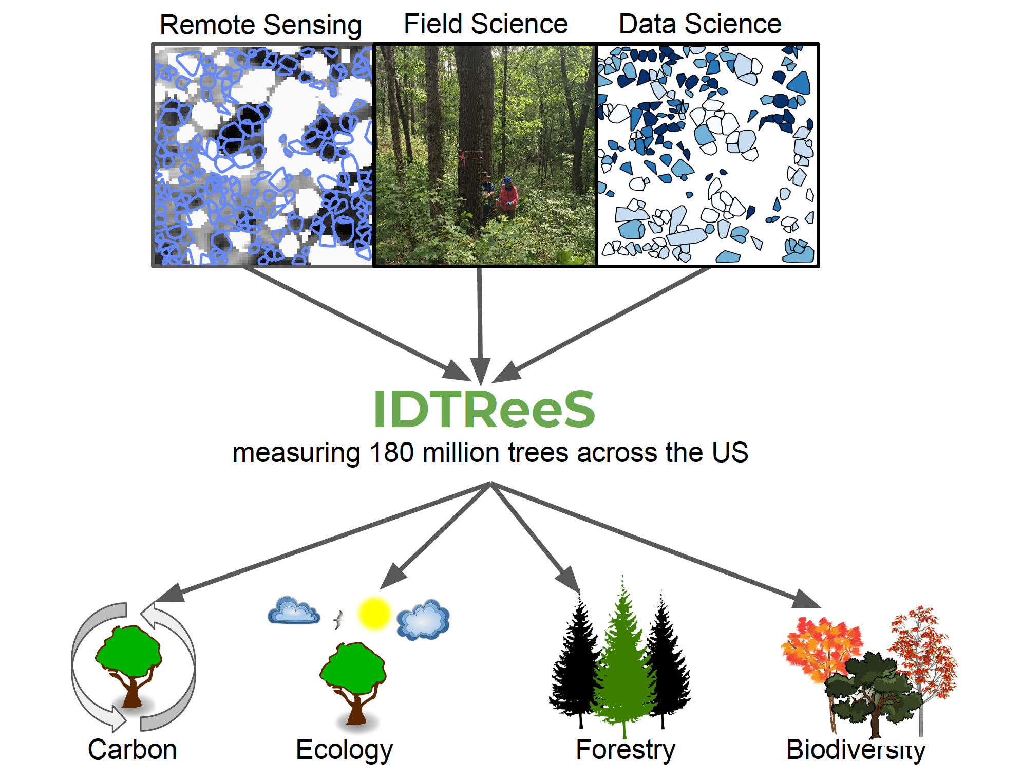 IDTReeS – Integrating Data science with Trees and Remote Sensing